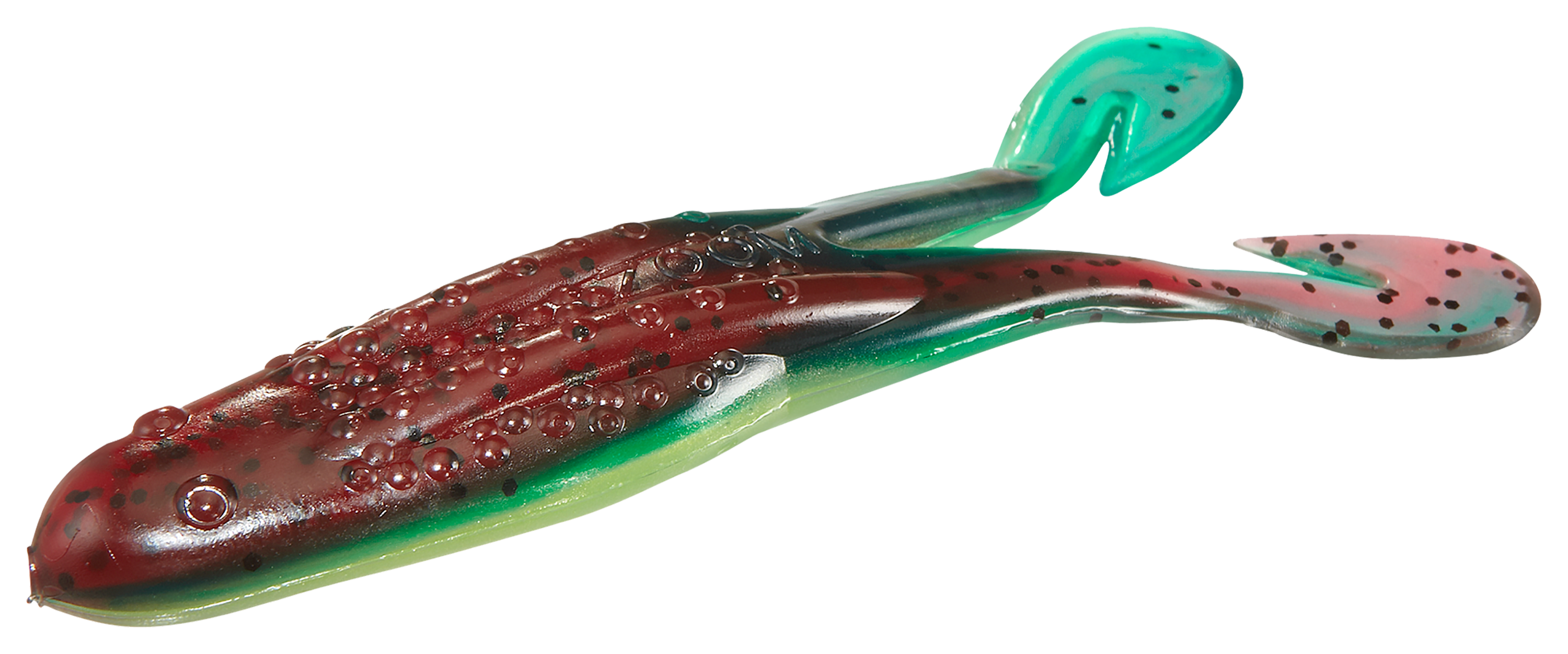 Zoom Horny Toad - Tree Frog | BoondockGear.com